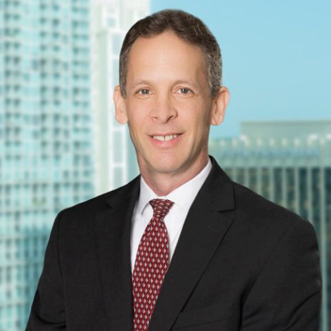 The Remarkable Nuvo Development Partners Team Of Experts